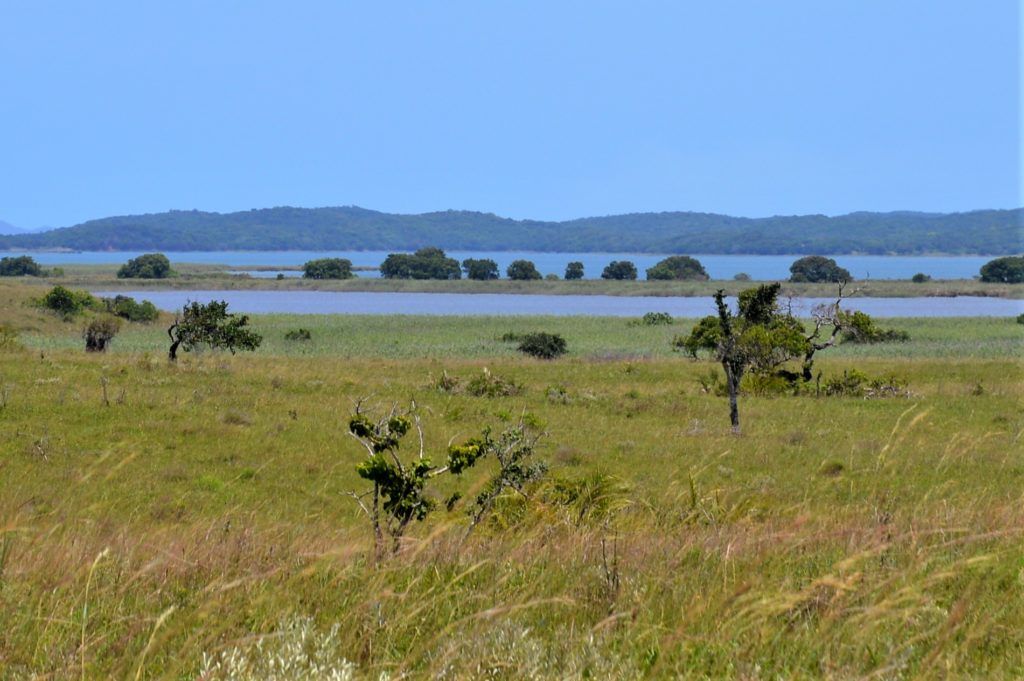 RESERVA ESPECIAL DE MAPUTO – ESCAPADA 1 DIA. | Dugongo Viagens