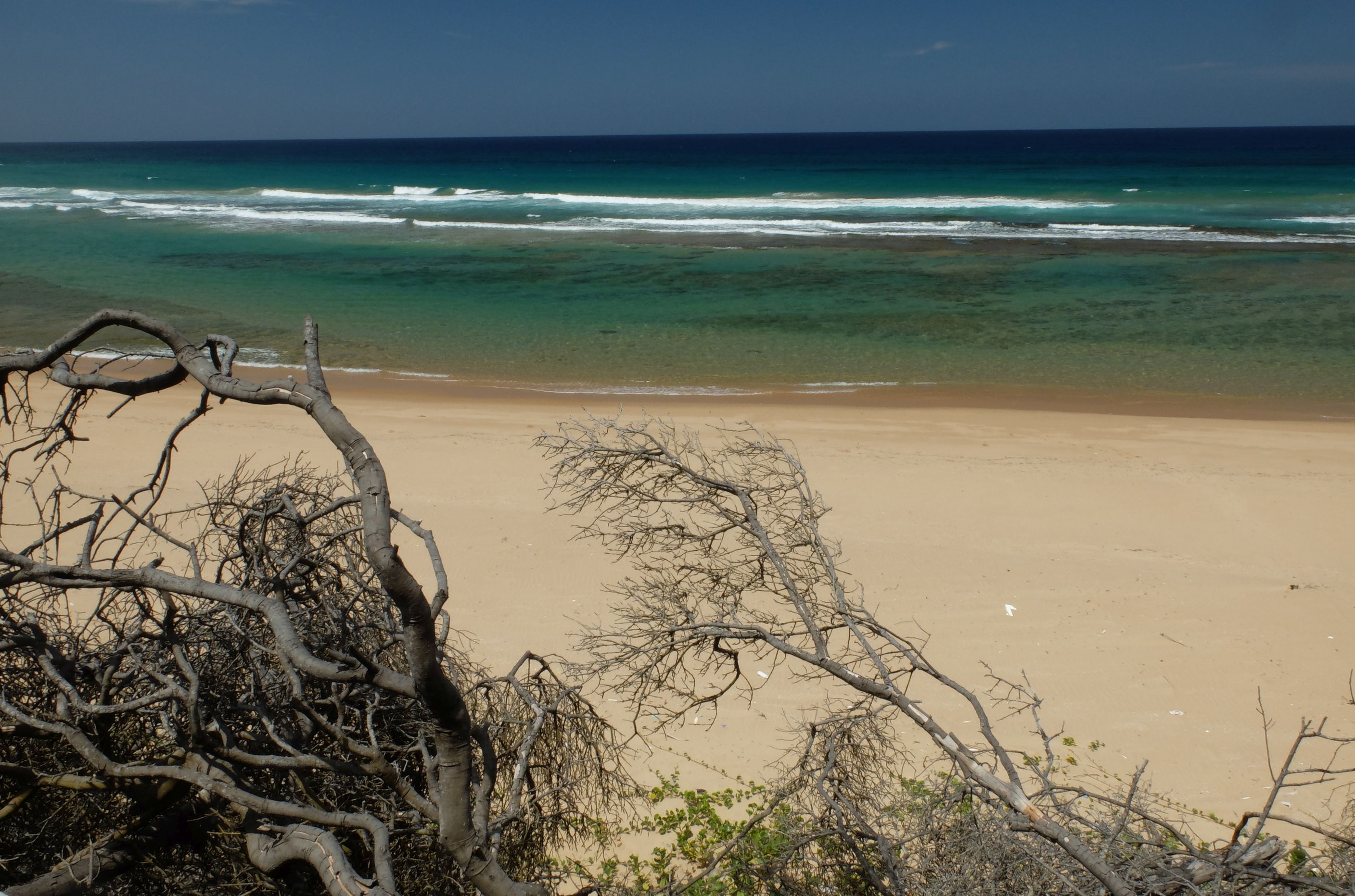 RESERVA ESPECIAL DE MAPUTO Y PONTA DE OURO – 2 DIAS 1 NOCHE | Dugongo ...